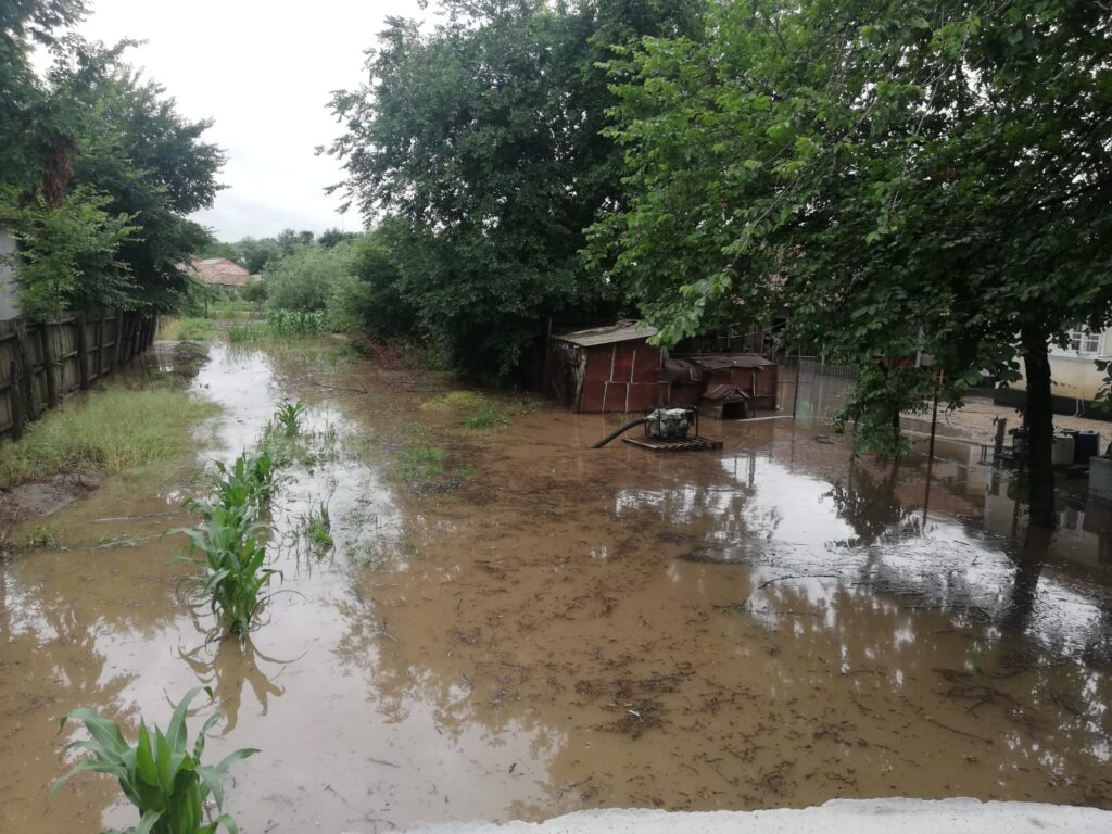 FOTO și VIDEO. Inundații într-o gospodărie din Șerbănești | Gazeta Oltului